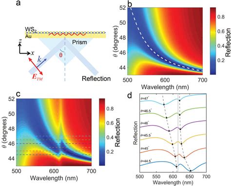 A Schematic Showing A Ws 2 Monolayer Placed On A 50 Nm Thick Au Film
