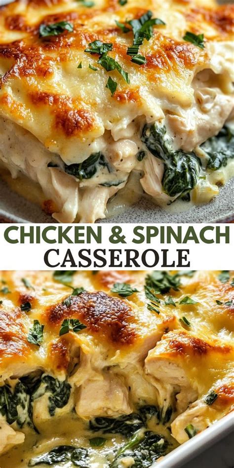 Creamy Chicken And Spinach Casserole Recipe Dinner Recipes With