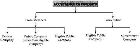 Explain The Type Of Companies That Can Raise Deposits Along With The Maximum Amount They Can