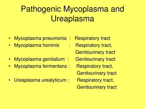 Ppt Mycoplasma And Ureaplasma Powerpoint Presentation Free Download Id2979116