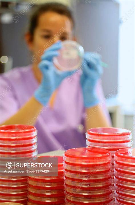 Antibiogram Urine Specimens Microbiology Department Donostia