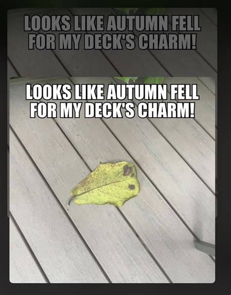 Heres A Webapp To Generate Memes With A Single Click Using Gpt And Blip Link In Comments R