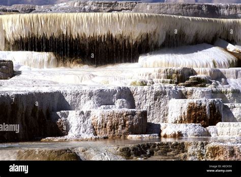 Yellowstone Travertin Hi Res Stock Photography And Images Alamy