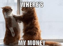 Where Is My Money S Tenor