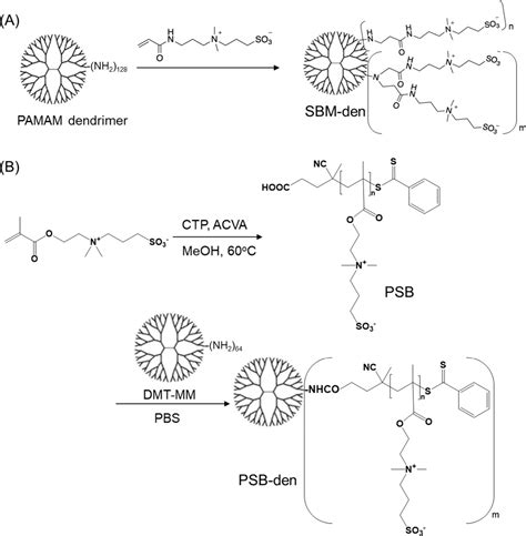 Hydration And Biodistribution Of Zwitterionic Dendrimers Conjugating A Sulfobetaine Monomer And