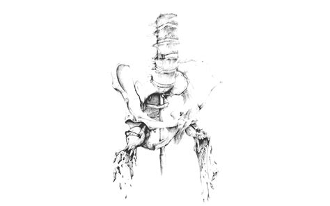 Dr Harry Papagapiou Dr Harry Papagapiou