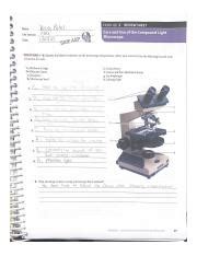 Lab Section Pdf Course Hero