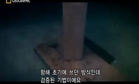 배에 구멍 났을때 대처법 DogDrip Net 개드립
