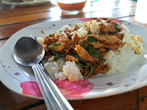 Pork Basil With Rice And Fried Egg Stock Image Image Of Restaurant