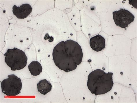 Metallic Grain Structures And Microscopic Analysis Insight