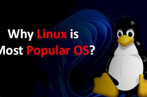 [65 ] Discount On Cka Ckad Cks Exam Voucher Linux Foundation Cyber Monday Deal Webasha