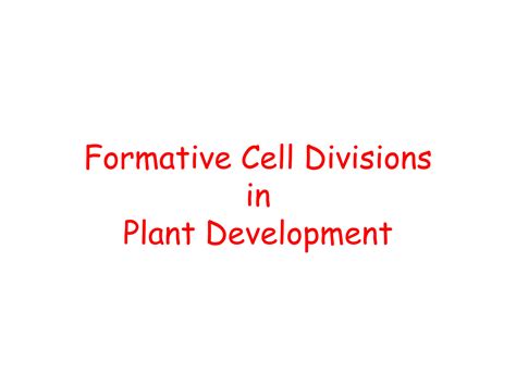Solution Formative Cell Divisions In Plant Studypool