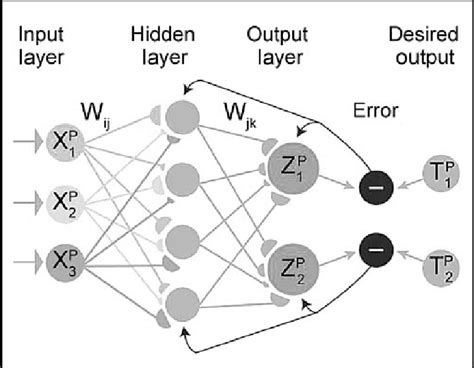 A Single Distributed Sensorimotor Network At The Input Layer A
