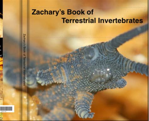 Photo Book New Zealand Terrestrial Invertebrates Fishhook Publication