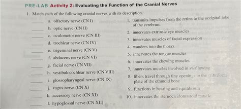 Solved Pre Lab Activity Evaluating The Function Of The Chegg Com