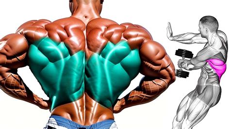 The Best Ever Lats Workout You Need For Wider Lats Youtube