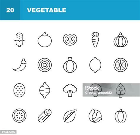 야채 라인 아이콘 편집 가능한 획 아스파라거스 아보카도 콩 비트 뿌리 브로콜리 당근 옥수수 오이 생태학 마늘 레몬 양상추 버섯 양파 파슬리 후추 감자 호박 날 음식 시금치