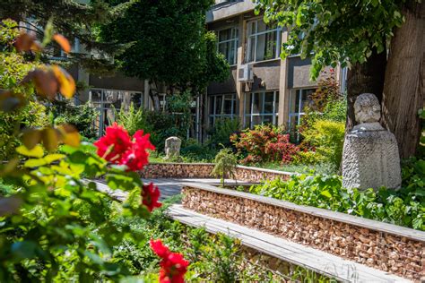 Uvt Organizes For The First Time Nationally Postgraduate Courses In