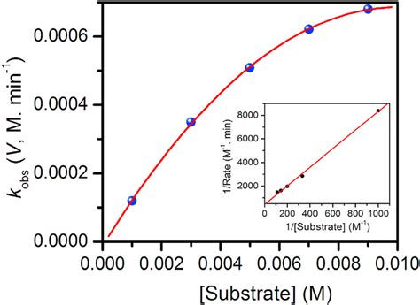 plot of the initial rates versus substrate concentration for the