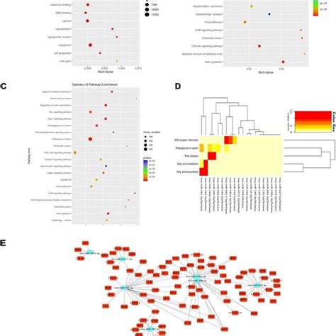 Top 40 Dysregulated Mirnas Targeting Messenger Rna Mrna A