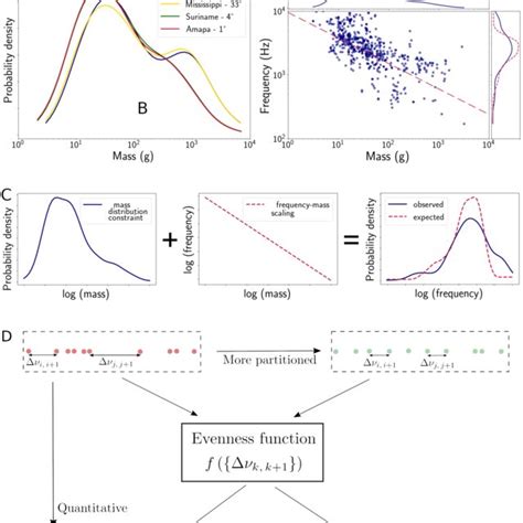A Mass Distribution Constraint Log Body Mass Distribution Of Bird