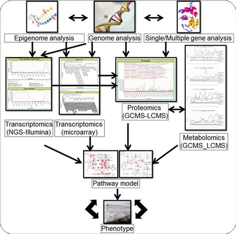 Integration Of Different Omics Data Sets In Soykb Soykb Holds Data For