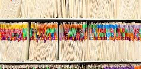 Why Social Scientists Still Need Data On Sex Not Only Gender Identity