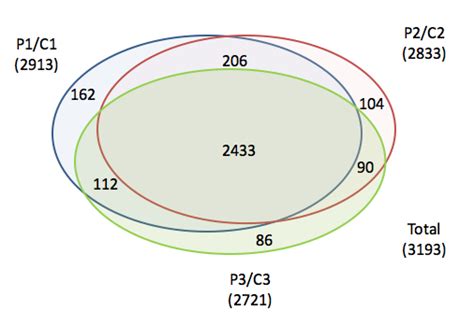 r how to plot a 3 set proportional venn euler diagram stack overflow