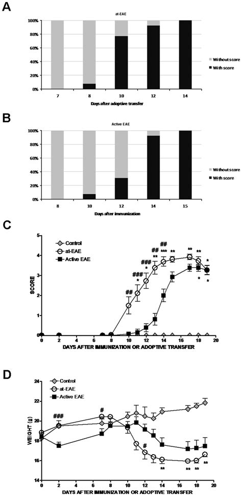 Eae Induction In C57bl6 Mice By Adoptive Transfer Of Encephalitogenic
