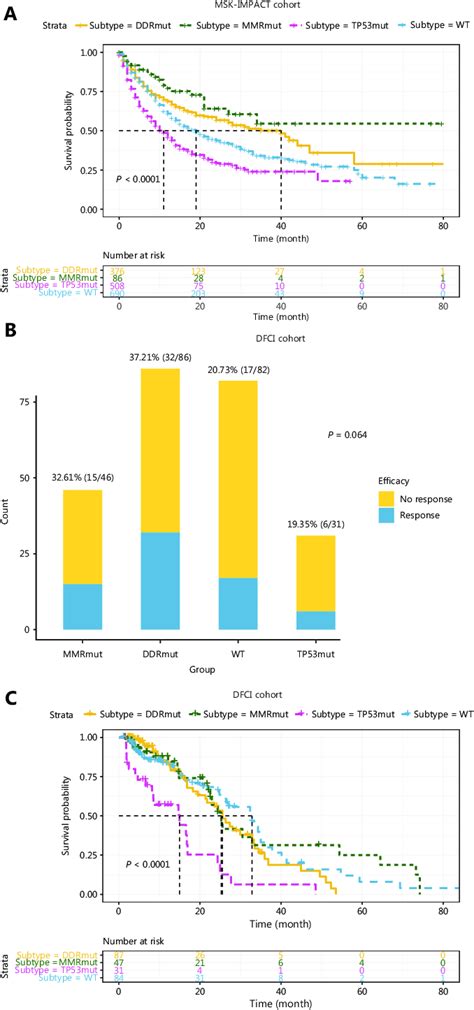 Associations Between Mmr Ddr Mutations And Ici Therapy Outcomes A