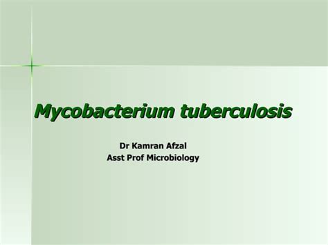 Mycobacterium Tuberculosis Ppt