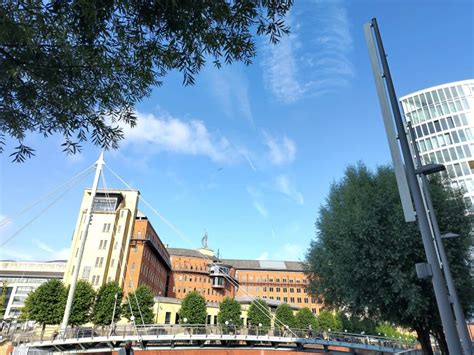 Climateaction Sustainability Communityimpact Jacci Marcus