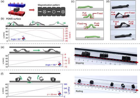 Inchworm‐inspired Locomotion Of Magnetic Paper Robots A Schematic