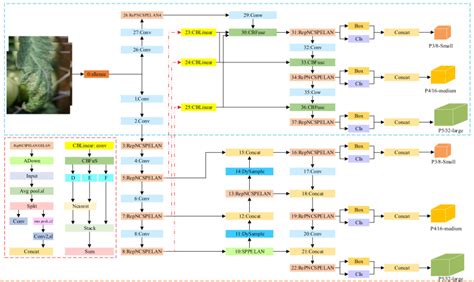 Dm Yolo Improved Yolov9 Model For Tomato Leaf Disease Detection Pmc