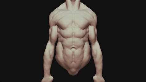 Muscle Man Download Free 3d Model By Harrissimoo Cayaalperen2