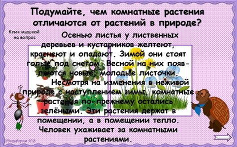 Комнатные растения презентация онлайн