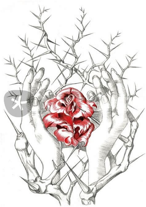 Thorn Bush Drawing At PaintingValley Com Explore Collection Of Thorn Bush Drawing