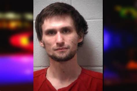 Avery Nelson — Henry County Jail Bookings