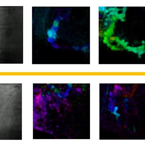 Dense Optical Flow Calculation Process The First Row Is From A Normal