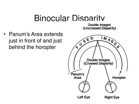 Ppt Binocular Disparity Powerpoint Presentation Free Download Id 2979295