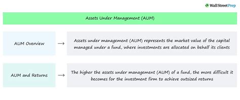 What Is Aum Definition Fund Examples