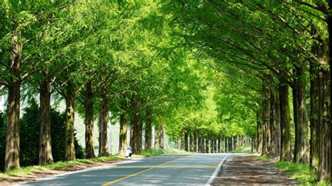 인생이 안풀리고 우울할때 듣는 두뇌주파수 바꿔주는 힐링음악 수면음악 공부음악 Youtube Music