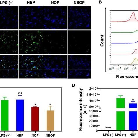 Intracellular Nitric Oxide Depletion Effect Of Nbop Nanoparticles A