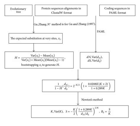 A Flow Chart To Outline The Computational Pipeline Implemented In Download Scientific Diagram