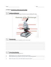 Introduction To Microscopy And Cytology Anatomy Care And Course Hero