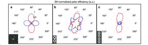 Polarization Dependent Shg Response Of The Plasmonic System The X Axis