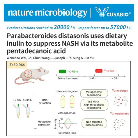 Cusabio Technology Llc On Linkedin Cusabio Inulin Guthealth Nashresearch Dietaryfiber