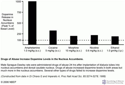How Does Alcohol Interact With The Dopamine Reward System Drillkit
