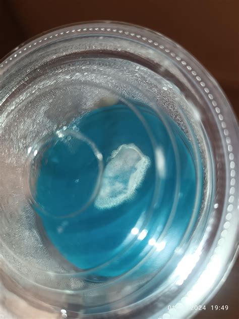 Is This Effd R Agarporn