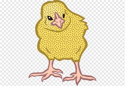 칠면조 닭 광활한 흰 칠면조 검은 칠면조 프라이드 치킨 닭 계란 음식으로 치킨 부리 새 검은 칠면조 Png Pngwing